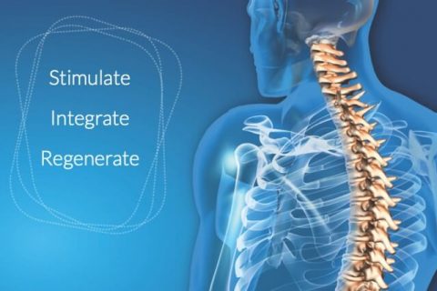 ReproBone | Osteobionics Sdn Bhd